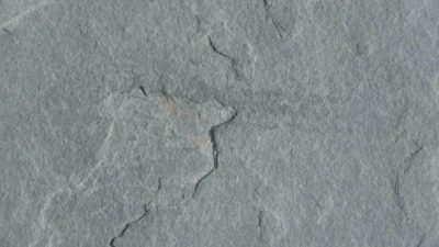 PA Irregular Bluestone - True Blue | Oakshade Nursery & Landscaping ...