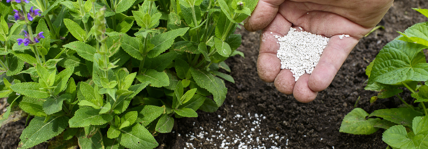 Garden Fertilizers | Oakshade Nursery & Landscaping Services | South ...